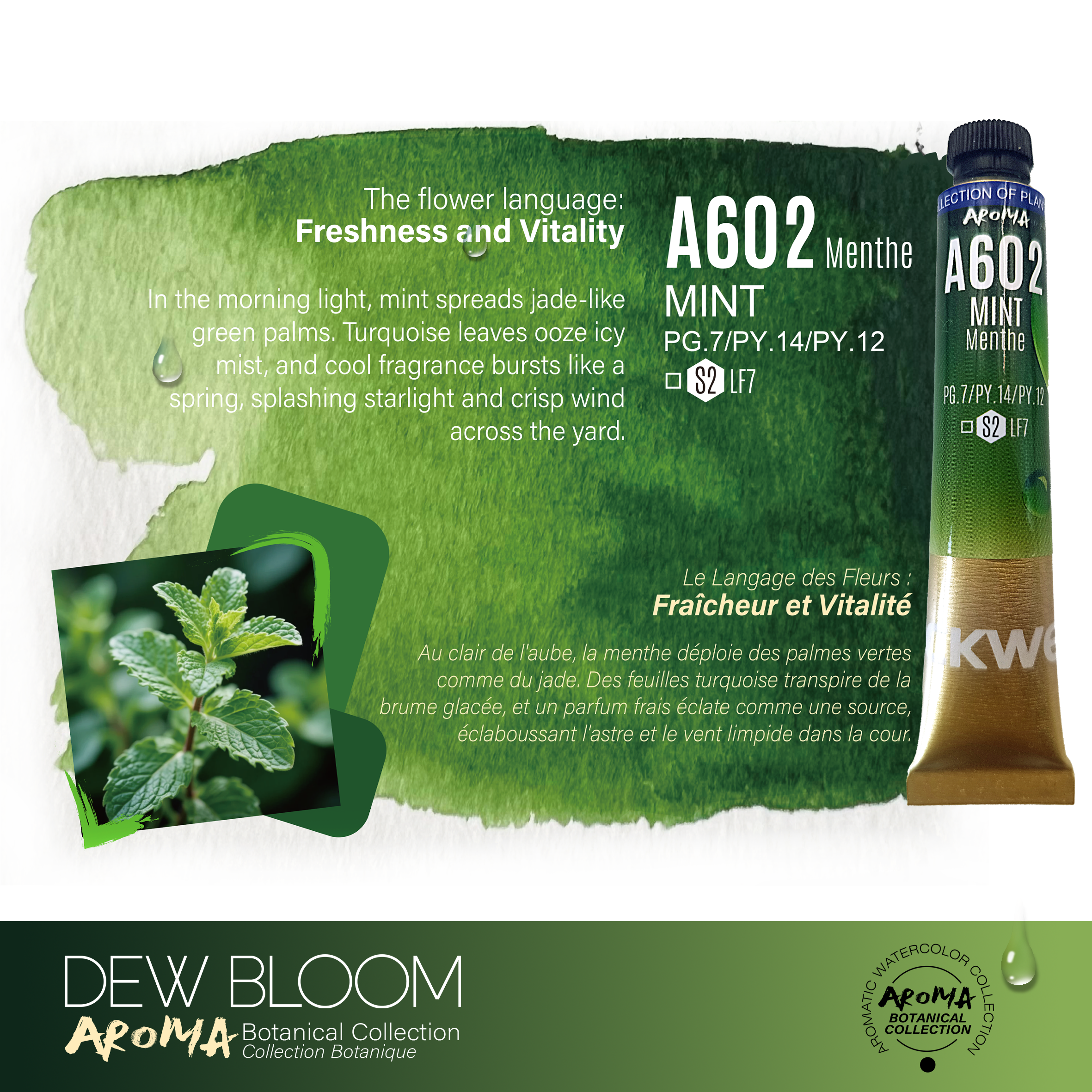 A602 Mint 8ml – Rockwell Art Supplies